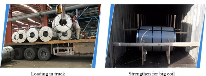 SPGC SGCC Hot Galvanized Steel Coil 1m Hot Dipped Galvanised Coils